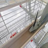 China A-Type Baby Chick Cage System - 3 & 4 Tier Pullet Rearing Cages with 305cm² Bird Area for sale
