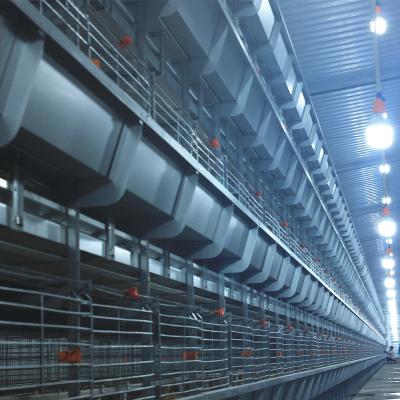 China Pullet Rearing Baby Chick Cage 850x1250x2200mm Q235 Steel with 102-136 Bird Capacity for sale