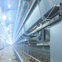 China Poultry Equipment Multi Poultry Broiler Cage Customized Multi Style for sale