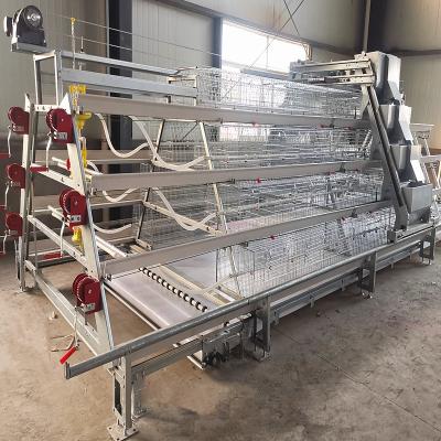 China A Type 3-4 Layer Brooding Cages for Chickens - Q235A Galvanized Steel, 1830x2300mm Size, 180-240 Bird Capacity for sale