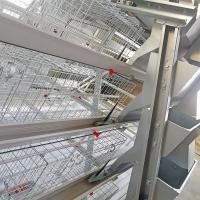 China A Type 3-4 Layer Brooding Cages for Chickens - Q235A Galvanized Steel, 1830x2300mm Size, 180-240 Bird Capacity for sale