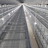 China Silver Star Breeding H Type Broiler Cage 3 / 4 Layer Can Be Customized Chicken Coop for sale