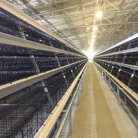 China A-Type Wire Poultry Cage System 3-4 Tier Layer Farming Equipment 90-160 Birds Capacity for sale