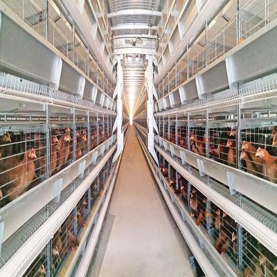 China European Standard 4-Tier 120 Birds Battery Chicken Cage System with 450-500cm² Space per Bird for sale