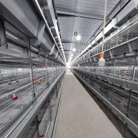 China European Standard 4-Tier 120 Birds Battery Chicken Cage System with 450-500cm² Space per Bird for sale