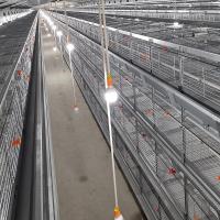 China 108-144 Birds Poultry Cage 3-4 Layers Broiler Raising Equipment Hot Dip Galvanized for sale