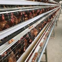 China A-Frame Layer Poultry Cages 3-4 Tier Battery System with 10-25 Year Lifespan for Egg Production for sale