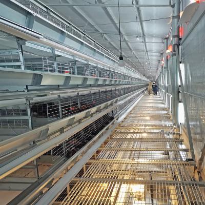 China Hot  Galvanized Automatic A Type H Type Chicken Cages Layer For Poultry Cage for sale