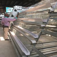 China Galvanized Steel A-Frame Poultry Layer Cage System - 3 & 4 Tier Models 90-160 Birds Capacity for sale