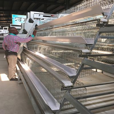 China Galvanized Steel A-Frame Poultry Layer Cage System - 3 & 4 Tier Models 90-160 Birds Capacity for sale