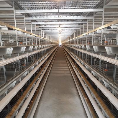 China H-Type Layer Poultry Cage System - 3-8 Tier Automated Chicken Housing with 450cm² Space per Bird for sale