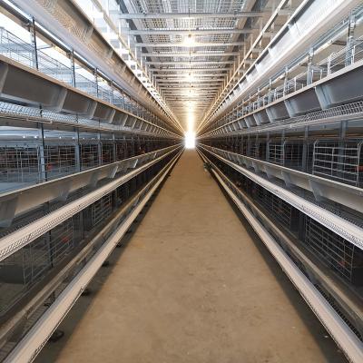 China H Type 1800x1200x2140mm Battery Egg Hens Poultry Cage 144 Birds per Set Automatic Layer System for sale