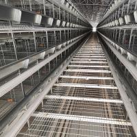 China H Type 1800x1200x2140mm Battery Egg Hens Poultry Cage 144 Birds per Set Automatic Layer System for sale