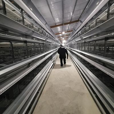China H Type 2.5mm Open House Battery Cage System 450cm2/Bird Area for sale