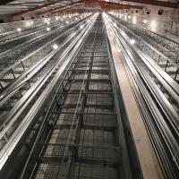 China Ventilated Automated Layer Cage Setup 4 Tiers Accommodates 120 Chickens for sale