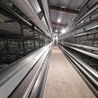 China 4 Floors H Frame Broiler Chicken Poultry Cage With Automatic Feeder for sale
