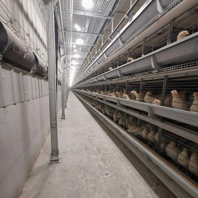 China Q235 Steel A Type Layer Chicken Cage 90-160 Birds Poultry Farming Equipment for sale