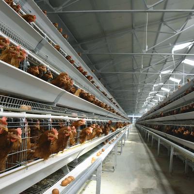 China 3-10 Layer Poultry Cage System | Hot-Dip Galvanized Steel | 90-160 Bird Capacity for sale