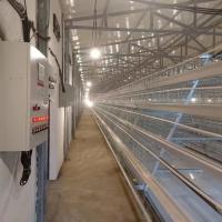 China H Type Chicken Poultry Cage Coops Automatic Battery Cages for sale
