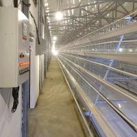 China 3-10 Layer Poultry Cage System | Hot-Dip Galvanized Steel | 90-160 Bird Capacity for sale