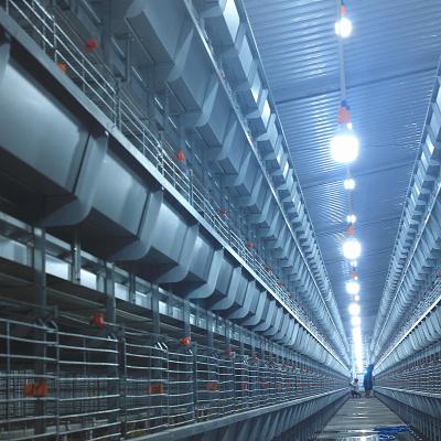China Four Layers Broiler Battery Chicken Poultry Cage 1480x1750x440mm with Auto Drinking System - 208 Birds Capacity for sale