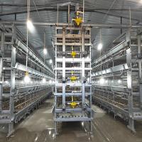 China 4-tier Automatic Layer Cage System With Ventilation For 120 Birds for sale