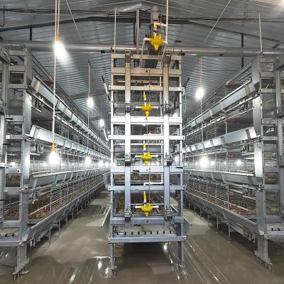 China H Type 9 Tiers Broiler Chicken Cage Hot Dip Galvanized Poultry Equipment 7.2m for sale