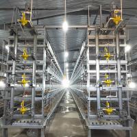 China H Type Chicken Poultry Cage Coops Automatic Battery Cages for sale