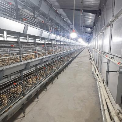 China HDG Chicken Cage Equipment - 3 & 4 Layer Poultry Battery Systems with 1830-3600mm Dimensions and 60-208 Bird Capacity for sale