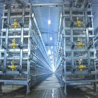 China Q235 Steel 4 Tier Broiler Cage System - 108 to 208 Bird Capacity with Automated Feeding & Drinking for sale