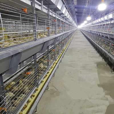 China SONCAP Accredited 380V 50HZ Automatic Broiler Chicken Cage System H Type 3 Layers 60 Birds for sale