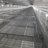 China SONCAP 1 To 45 Days Battery Cage For Broilers Modern A / H Frame for sale