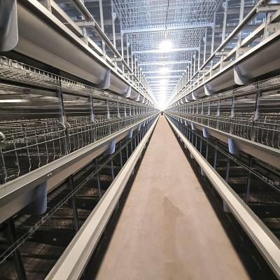 China Silver Star 192 Birds Layer Hen Cage System - 1200mm Width Poultry Farming Equipment with Automation for sale