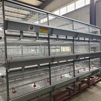 China SONCAP 1 To 45 Days Battery Cage For Broilers Modern A / H Frame for sale