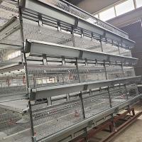 China H Type Automatic Broiler Equipment 4 Doors Q235 Steel 3-4 Tier Poultry Cage System 1480-3600mm for sale
