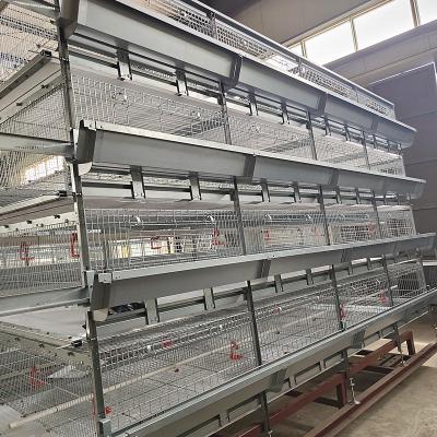 China H Type Automatic Broiler Equipment 4 Doors Q235 Steel 3-4 Tier Poultry Cage System 1480-3600mm for sale