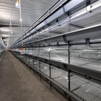 China SONCAP 1 To 45 Days Battery Cage For Broilers Modern A / H Frame for sale