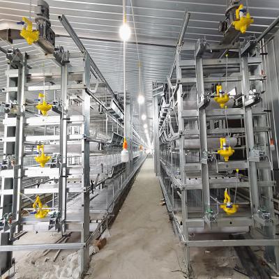 China H Type 4 Tiers 192 Birds Layer Chicken Cage Battery System Hot Dip Galvanized 1800x600x430mm for sale