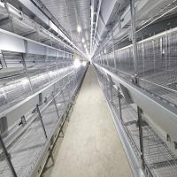 China Four Layers Battery Broiler Equipment 30,000 Birds Capacity with 2.5mm Thickness and SONCAP Certification for sale