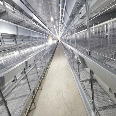 China Four Layers Battery Broiler Equipment 30,000 Birds Capacity with 2.5mm Thickness and SONCAP Certification for sale
