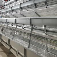 China Four Layers Battery Broiler Equipment 30,000 Birds Capacity with 2.5mm Thickness and SONCAP Certification for sale