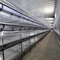 China Automatic Broiler Chicken Cage System 380V 50Hz H Type 3 Layers 156 Birds SONCAP Approved for sale