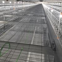 China SONCAP Certified 380V 50HZ Automatic Broiler Equipment For Chicken House for sale