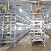 China SONCAP 1 To 45 Days Battery Cage For Broilers Modern A / H Frame for sale