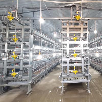 China Hot Dip Galvanized Q235 Broiler Equipment 108/144 Birds Wire Chicken Cage with Auto Water System for sale