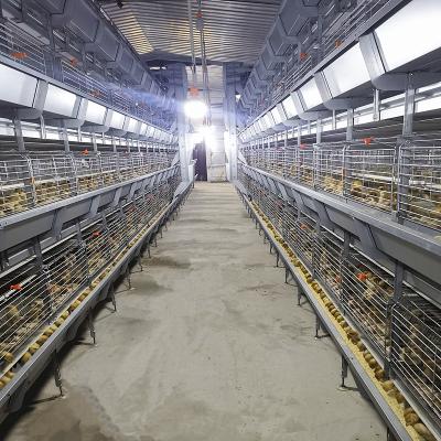 China SONCAP 1 To 45 Days Battery Cage For Broilers Modern A / H Frame for sale