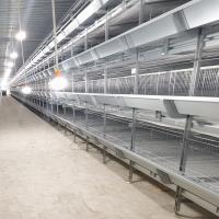 China 3/4 Tier Battery Chicken Breeding Cages - Zn-Al Steel Poultry Equipment with 108-200 Bird Capacity for sale
