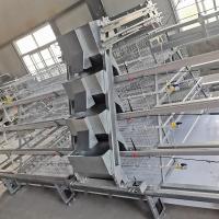China 3-4 Layer Poultry Broiler Equipment with Auto Feeding System - 108-200 Bird Capacity Chicken Battery Cage for sale