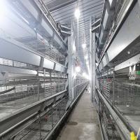 China 3-4 Layer Poultry Broiler Equipment with Auto Feeding System - 108-200 Bird Capacity Chicken Battery Cage for sale
