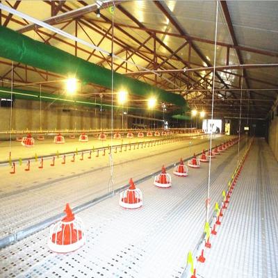 China 380V 3-Phase Automatic Chicken Feeding System with 400kg/h Capacity and ISO9001 Certification for sale